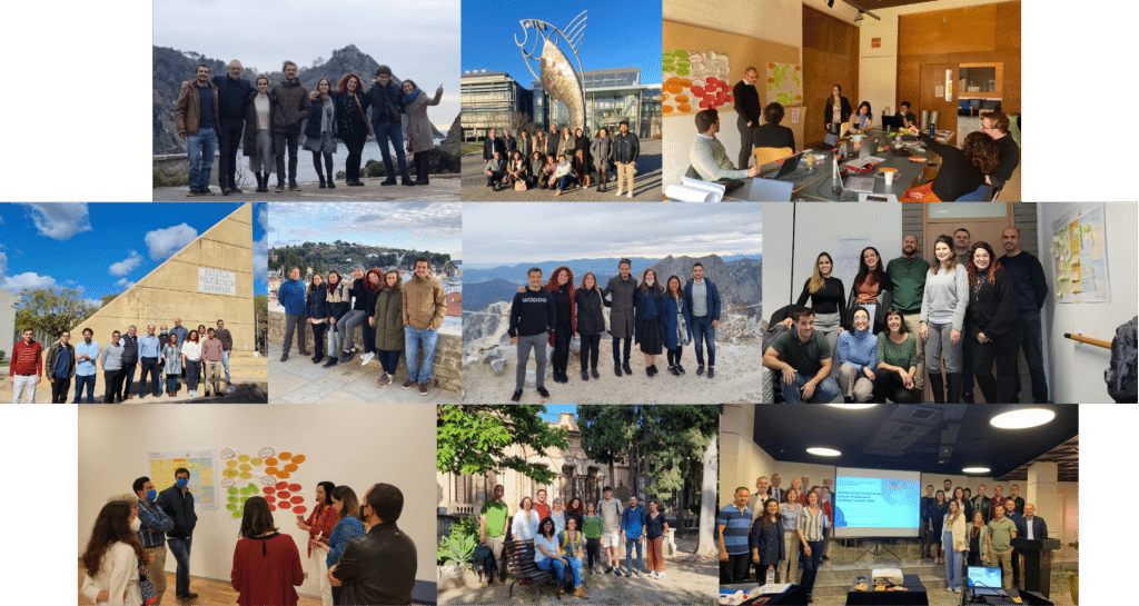 ENoLL successfully concludes workshops in 10 coastal European cities ...